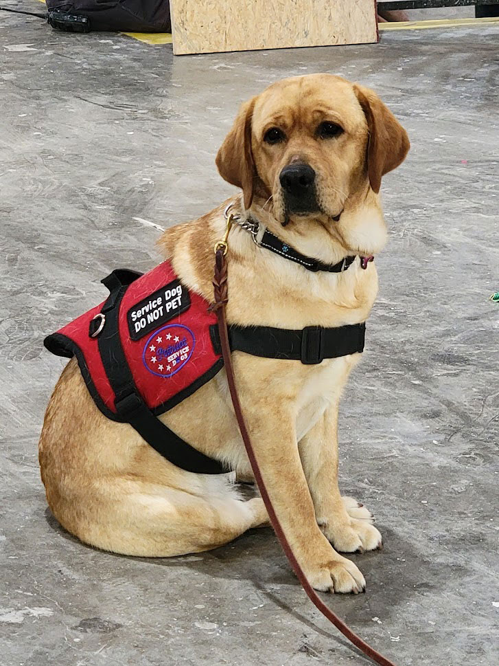 Patriot Service Dogs Sponsored by Cavco - Ocala, Ocala, Florida